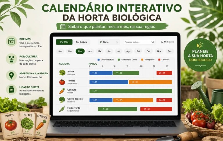 Alho - Como cultivar com sucesso na sua horta - 2026
